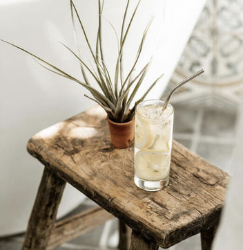 Chareau | Aloe Liqueur | Plant Based Spirit – chareau